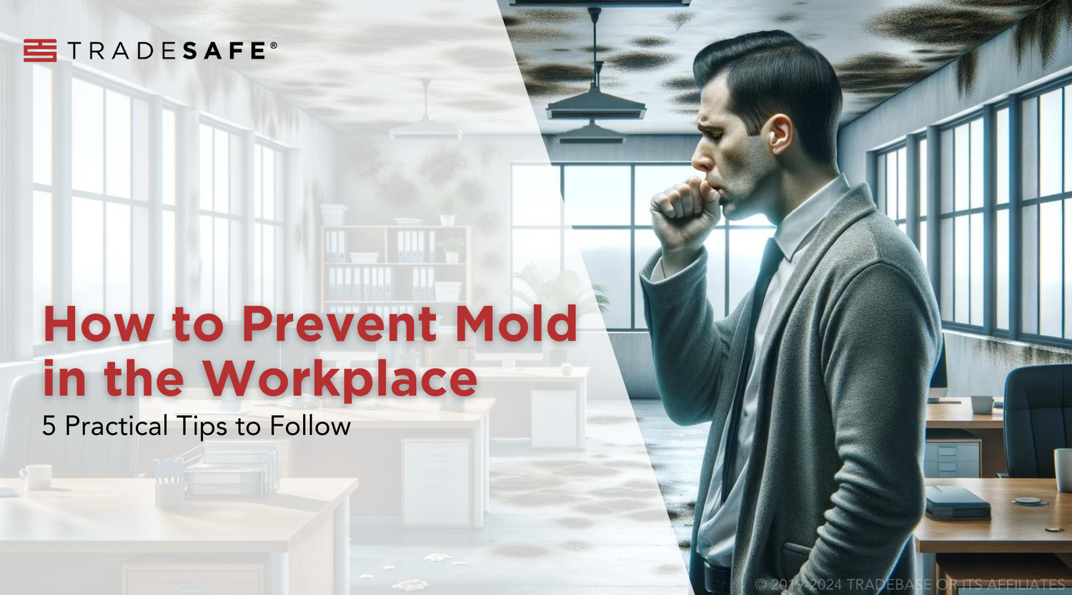 How to Prevent Mold in the Workplace | TRADESAFE