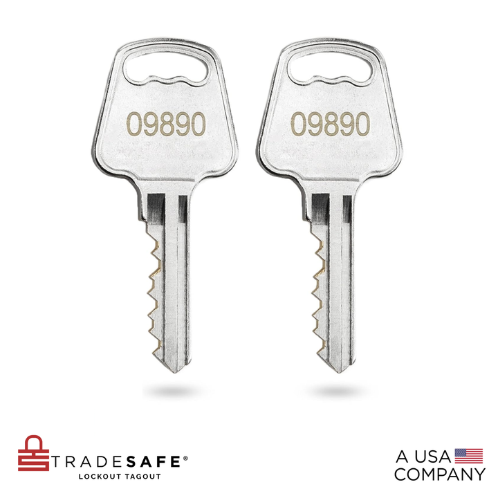 Black Keyed Alike Padlocks - 2 Keys - 10 Pack | TRADESAFE